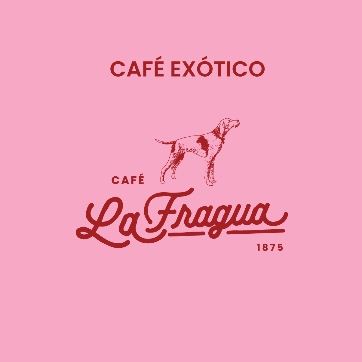 CAFE LA FRAGUA | Cafe exotico